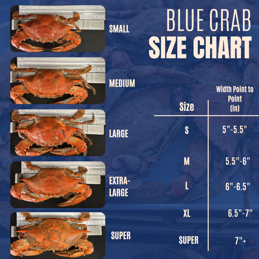 Chesapeake Crab Connection - Live Male Blue Crabs - Order Crabs Online