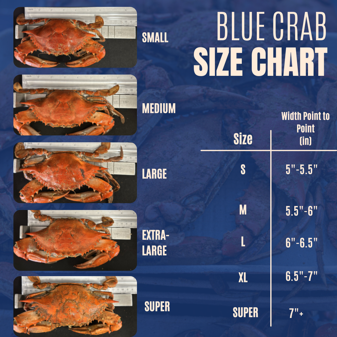 Chesapeake Crab Connection - Male Blue Crabs - Order Crabs Online