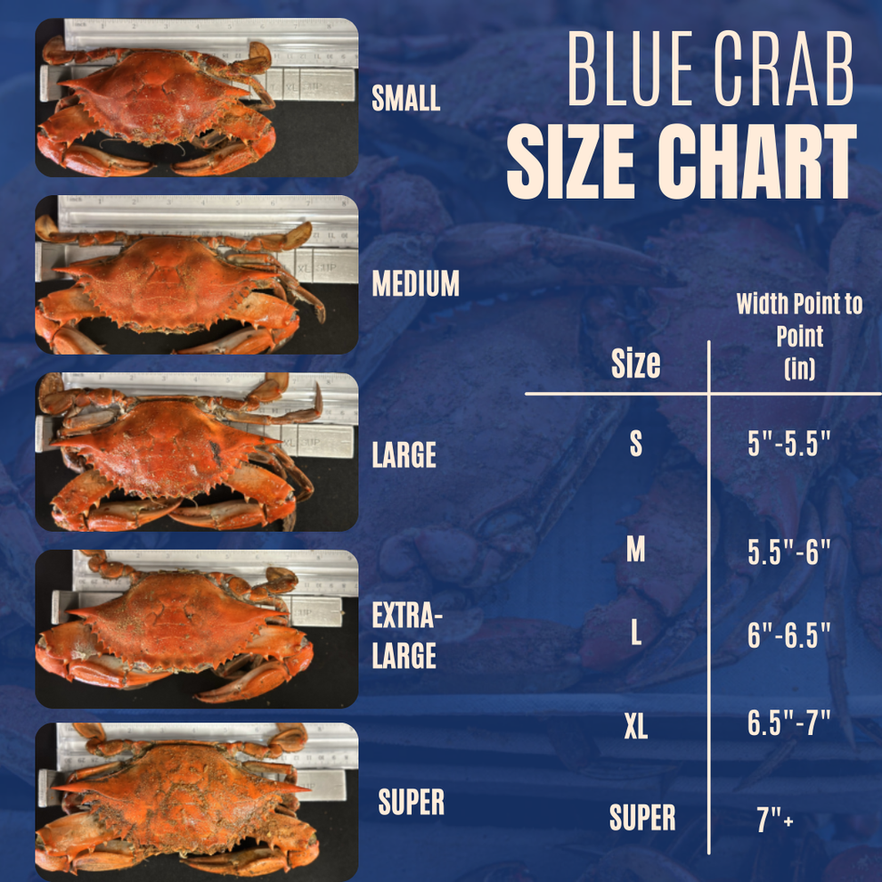 Chesapeake Crab Connection - Male Blue Crabs - Order Crabs Online