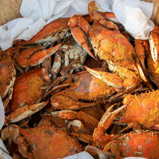 Chesapeake Crab Connection - Male Blue Crabs - Order Crabs Online
