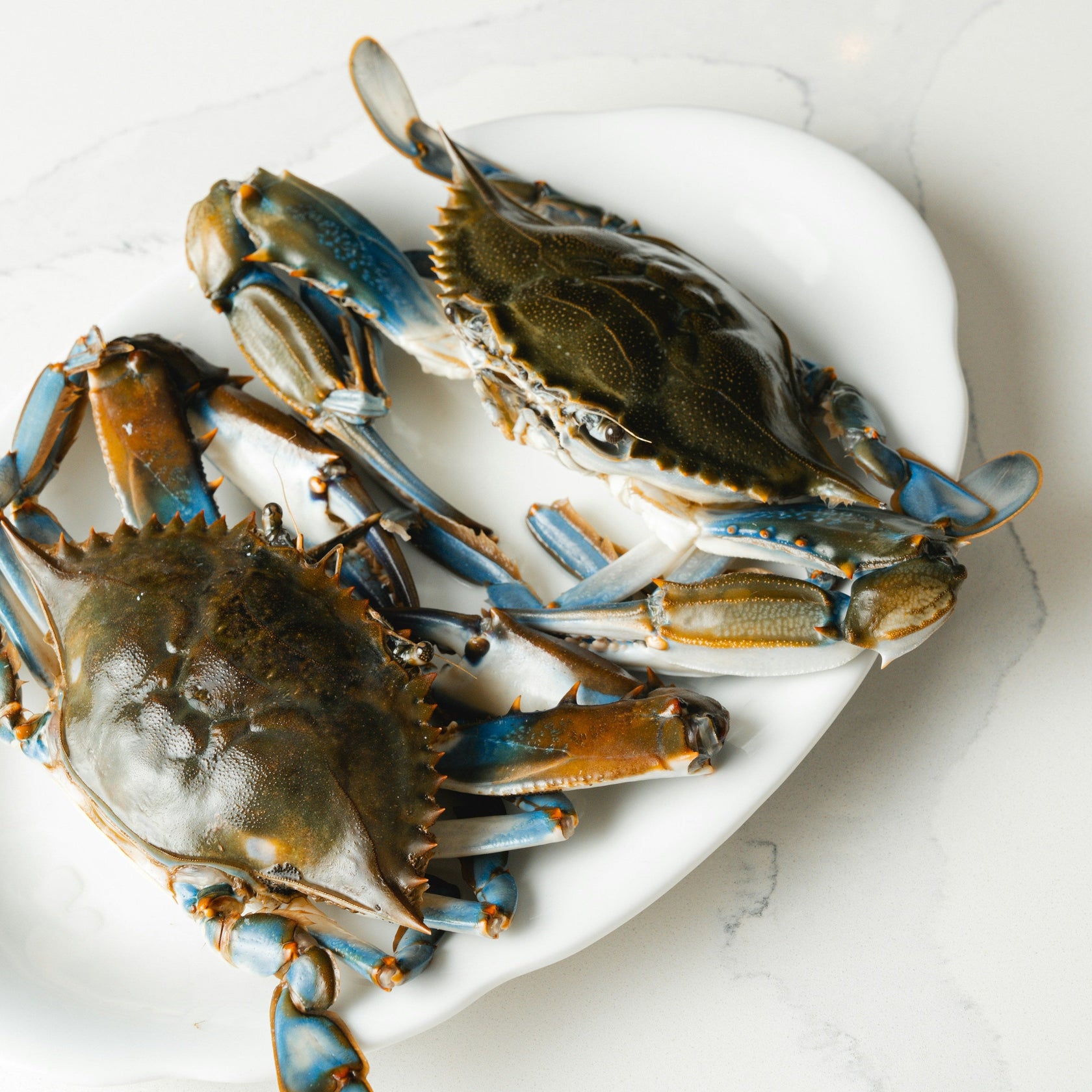 Chesapeake Crab Connection - Live Male Blue Crabs - Order Crabs Online