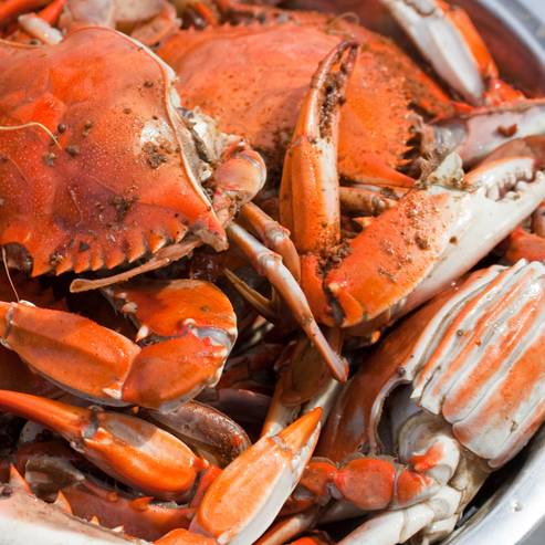 Chesapeake Crab Connection - Female Blue Crabs - Shop our Selection